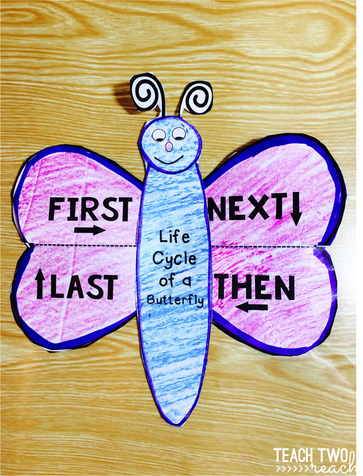 Butterfly Life Cycle Fun Teach Two Reach 2nd Grade Happenings butterfly-life-cycle-fun-teach-two-reach-2nd-grade-happenings
