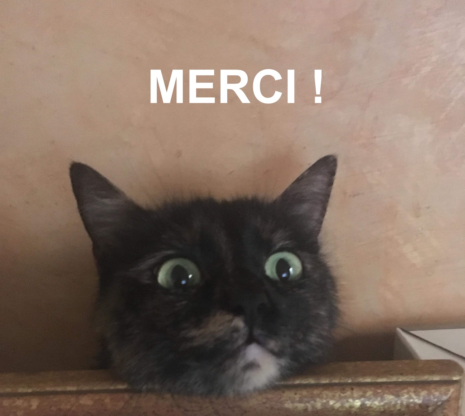 Merci de votre soutien