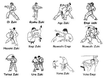 Defesa e Ação : Aulas de Karate