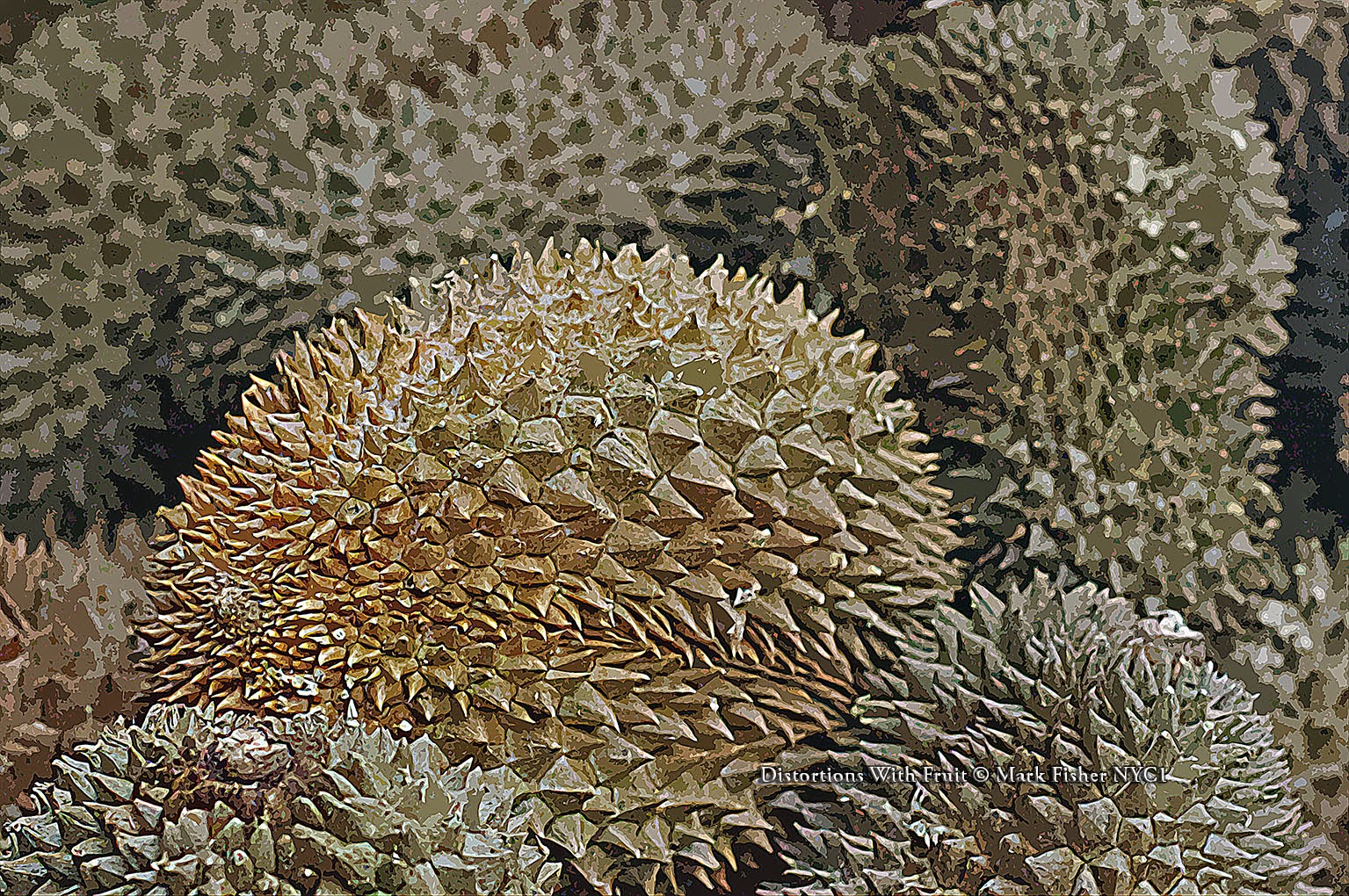 Mark Fisher American Photographer™: Distortions With Fruit • American ...