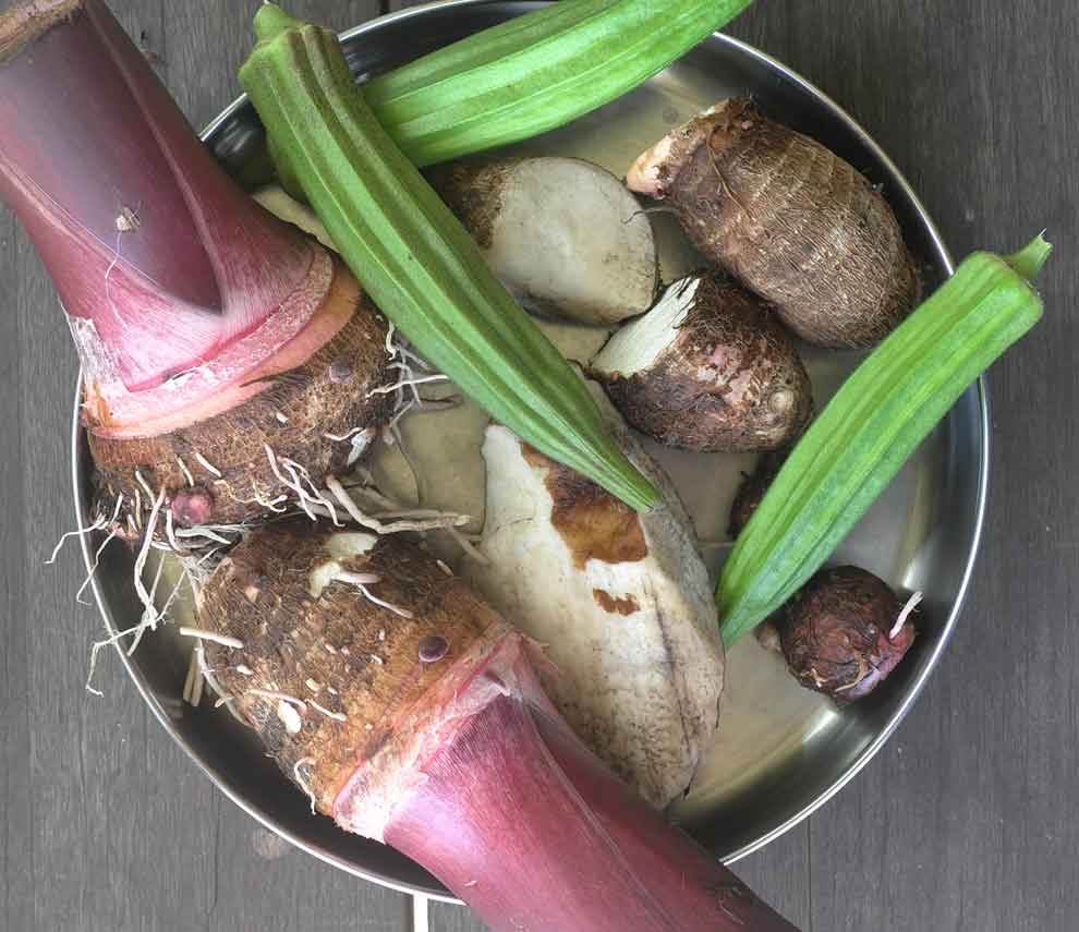 edible culture: Taro in Coconut Milk