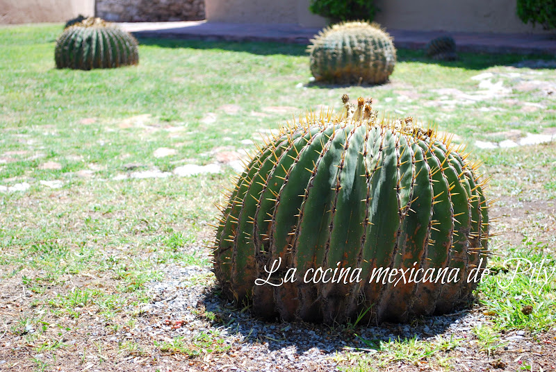 Chile poblano en escabeche relleno de atún | La Cocina Mexicana de Pily