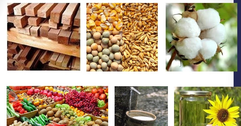 SOFIA PATIÑO-MATERIAS PRIMAS 503 : TIPOS DE MATERIA PRIMAS