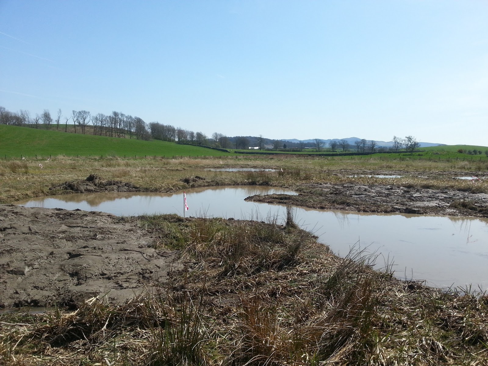 NTS Dumfries and Galloway Countryside Team: Threave wetland ...