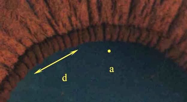Modern & Multidimensional Iridology: IPB Morphologies, Pupil Flattening ...