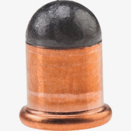 on target shooter nz: .22" RIM-FIRE Long Rifle.