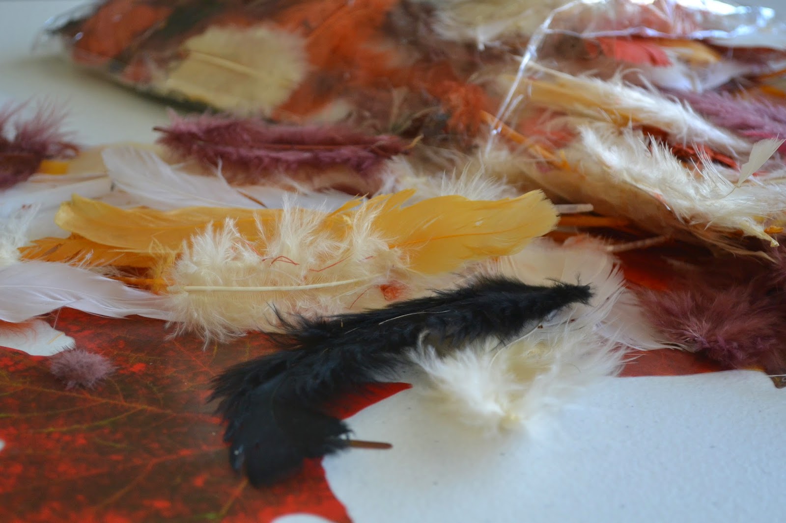 Bellapia Designs: Fall Feather Garland Tutorial
