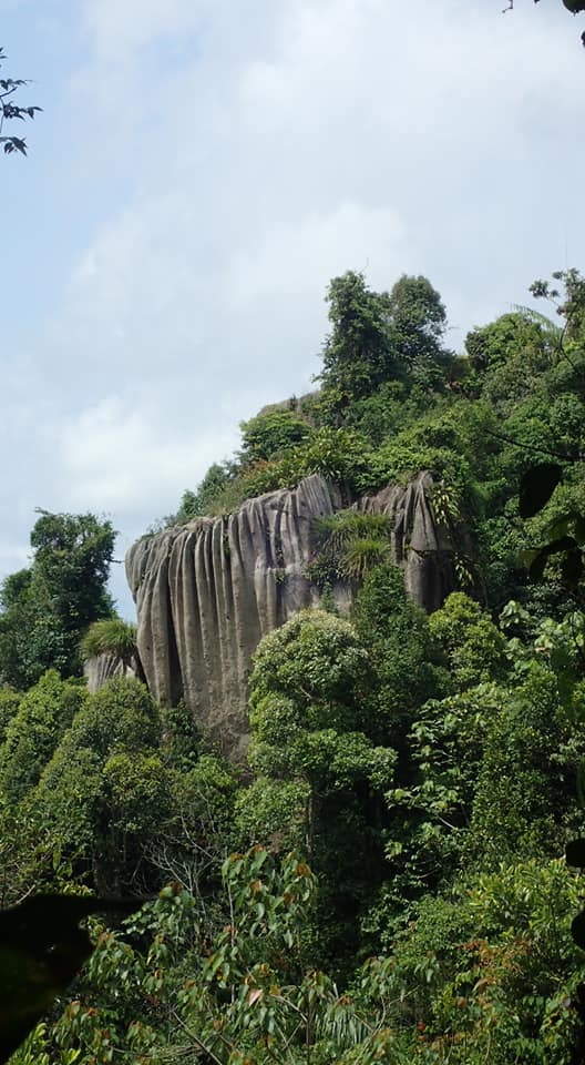 螂迹天涯: 一粒米蟲山 BUKIT BATU BESAR