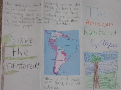 A Learning Journey: Amazon Rainforest Brochure Project