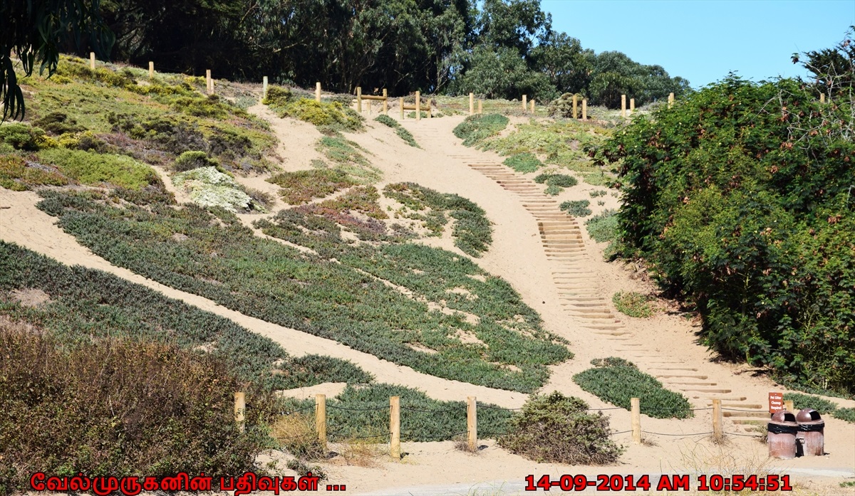 Fort Funston Sunset Trail - Exploring My Life