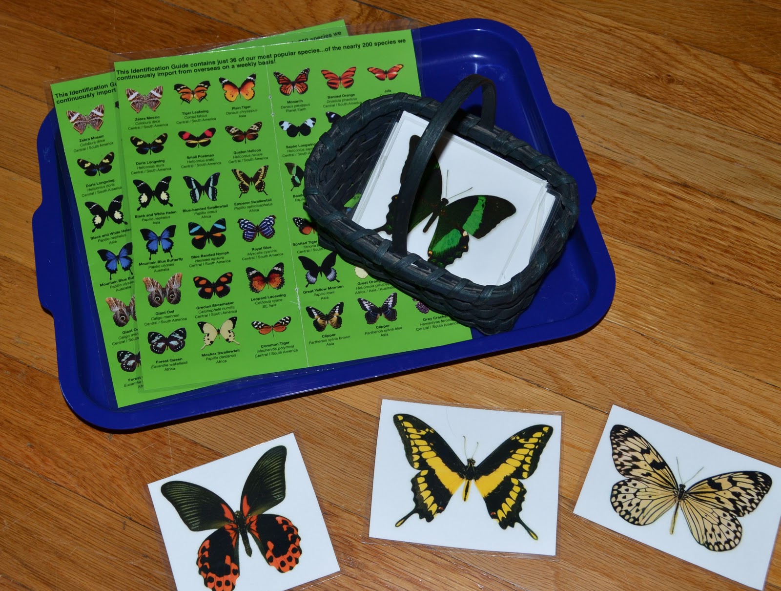 From The Hive: preschool - Butterfly day