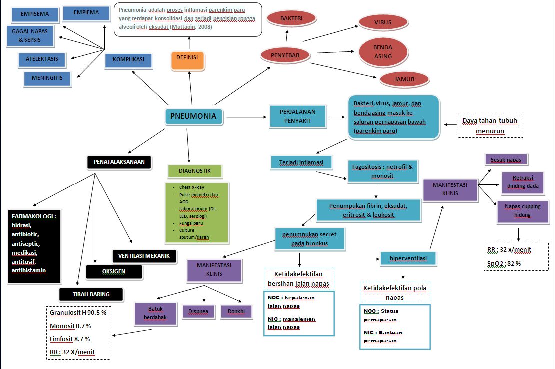 Mapping pneumonia