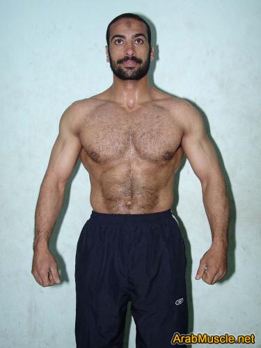 Mahmoud Hamdi - Body Builder