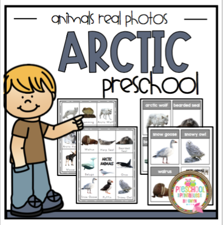 Arctic Animals Real Photos (19 cards plus 2 posters) ~ Preschool Printables