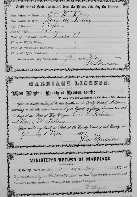 A Hobby Tree: Mary Margaret Rowe 1849-1919 (11101)