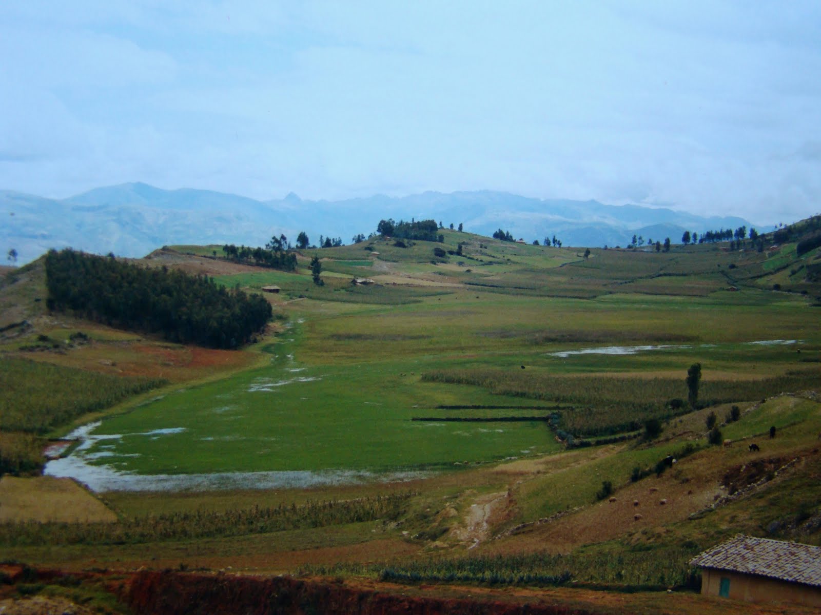 CAJABAMBA UNA TIERRA DE MISTERIOS: 2011