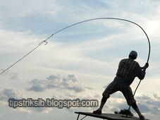 Cara Mancing Ikan Dengan Umpan Galatama Bagi Hobby Pemula Dan ...