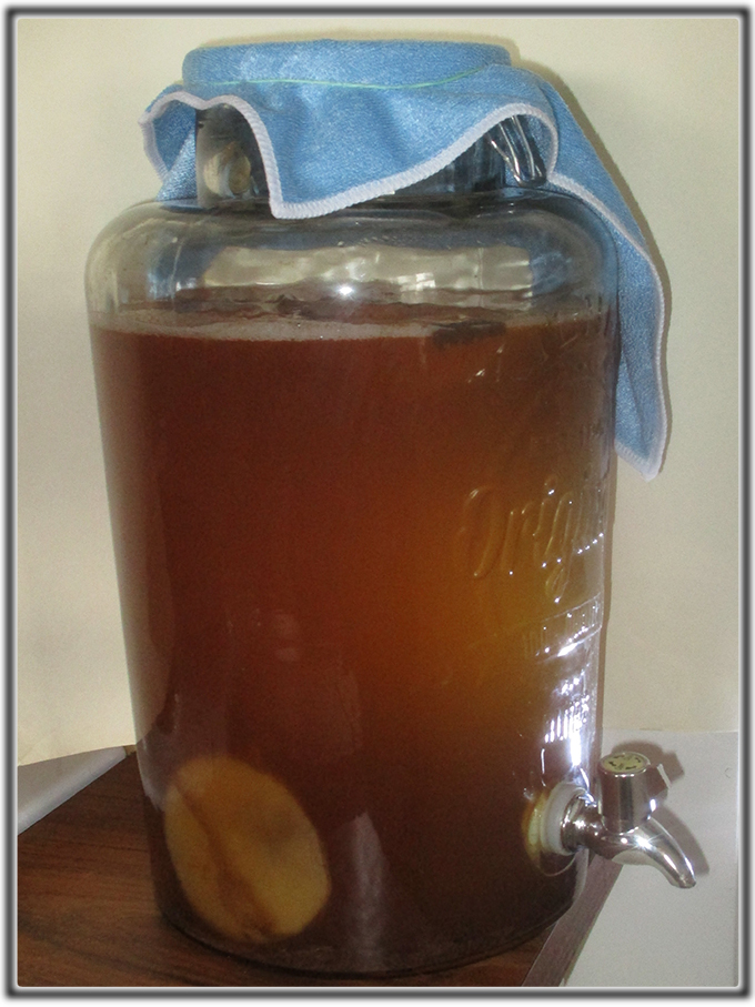 Gör egen kombucha! Scoby svamp till salu, skickas med vanlig post på 1 ...