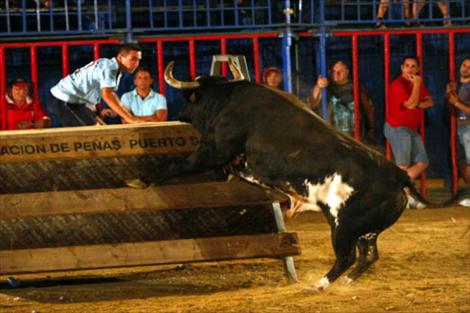 LOS TOROS CON AGUSTÍN HERVÁS.: MUERE EL TORO RATÓN