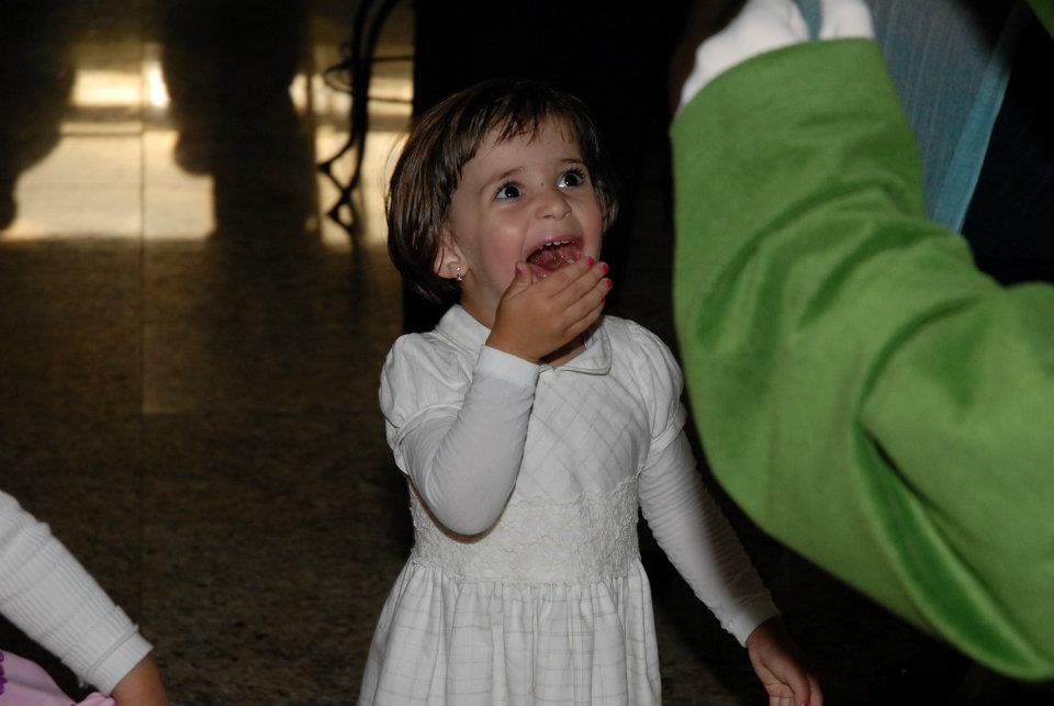 Silvia Vicentini - Ateliê de Festas