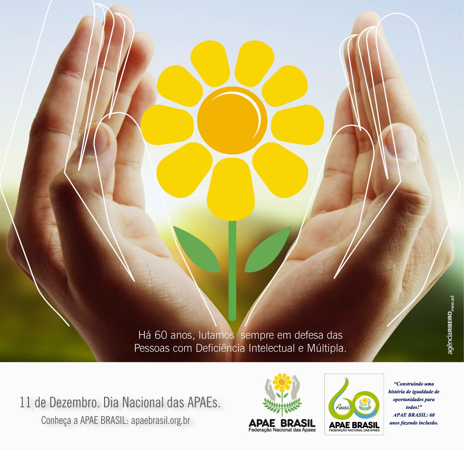 Educadores Apaixonados por Educação Especial: dezembro 2014