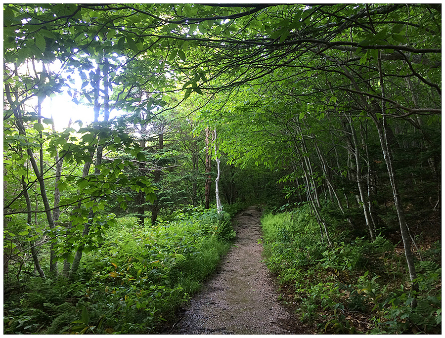 Hiking in the White Mountains: Slide Mountain