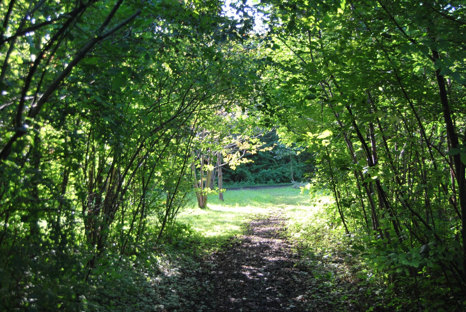 Sitting, Waiting, Wishing!: Alnarp Landscape Laboratory