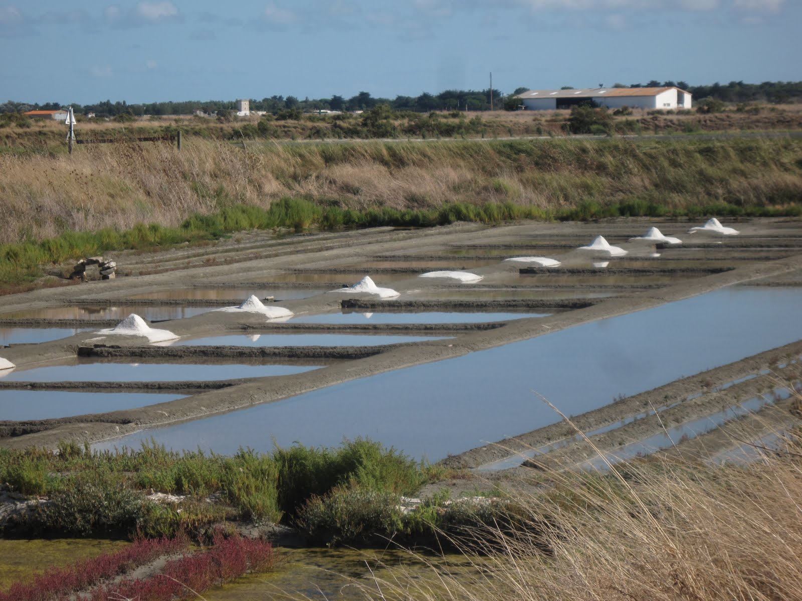 Backpacks in First Class: Ile de Re - Salt
