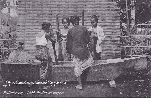 Kisah Pengembaraan Bujangga Manik Dalam Naskah Kuno Siksa Kandang ...