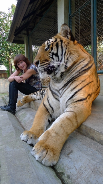 Anne and Monica: Tiger Kingdom and the Elephant Sanctuary