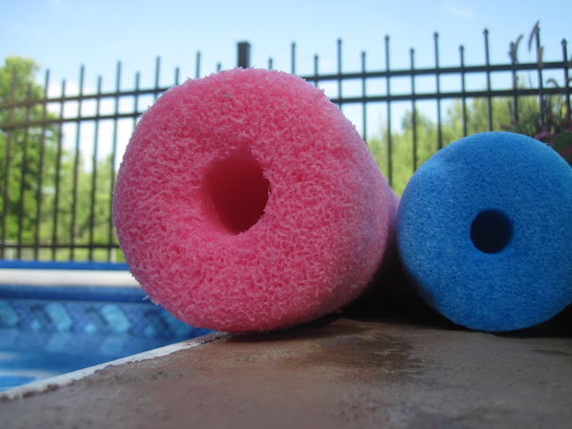 Matthew Sandager Photography: Pink Pool Noodle