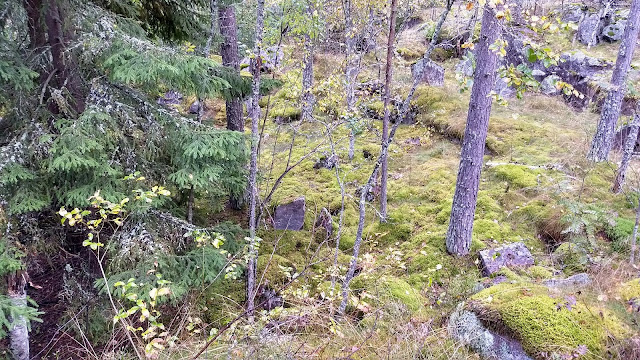 Skiing the Planet: Elfvik Quarries