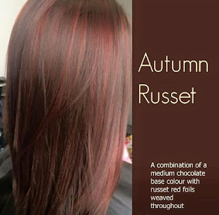 Hair By Season: Dark Autumn