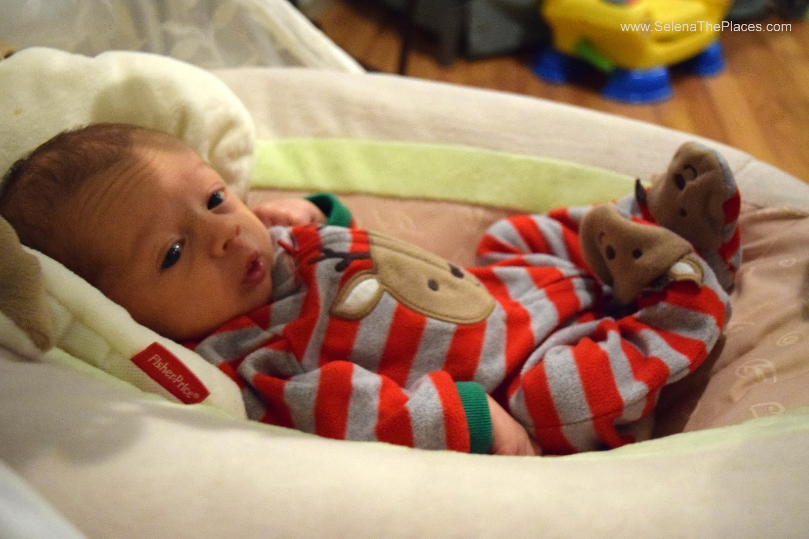 Oh, the places we will go!: Christmas with the Grandbabies