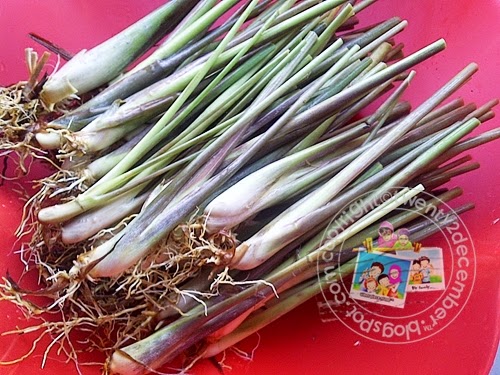 twenty2december™ : Hasil bercucuk tanam ~ Serai