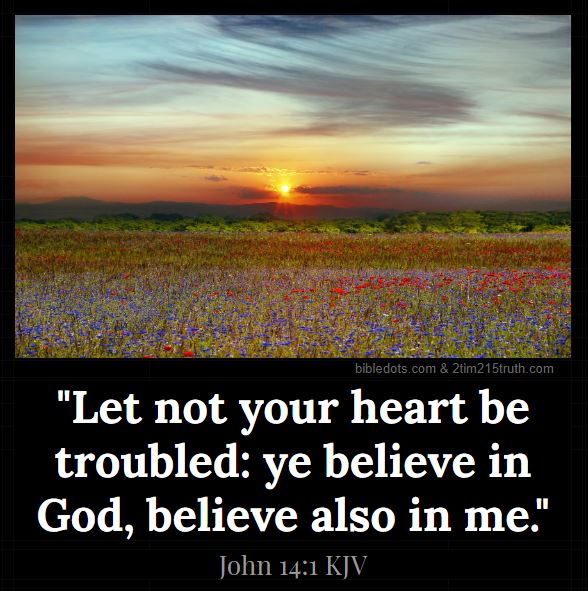 2 Timothy 2:15 Truth: Verse of the Day: John 14:1 KJV