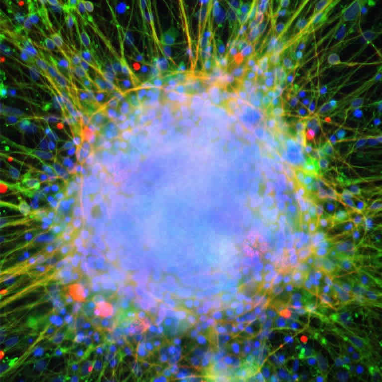 UM JEITO MANSO: De Fred “Rusty” Gage apenas os bonecos