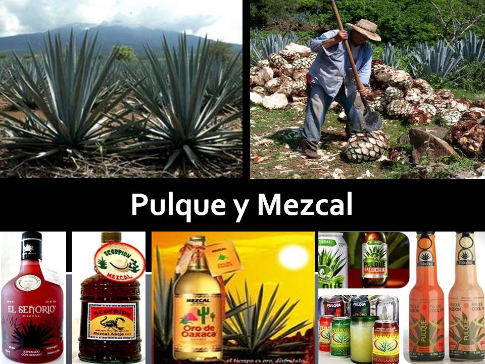 México a través de la mirada de una cubana: Del Maguey: Pulque, Mezcal ...