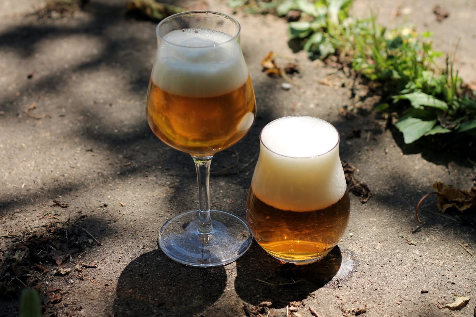 BlackMan Yeast vs. Bottle Dregs | The Mad Fermentationist - Homebrewing ...