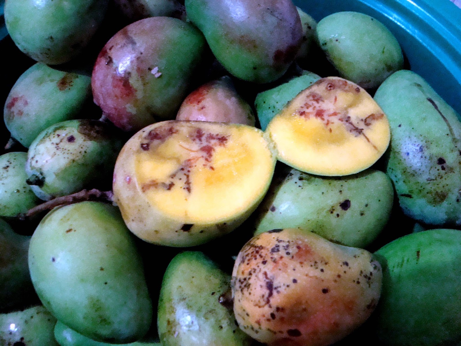 Living with Nature - School on Blog by Dr. Abercio V. Rotor: Crop Damage