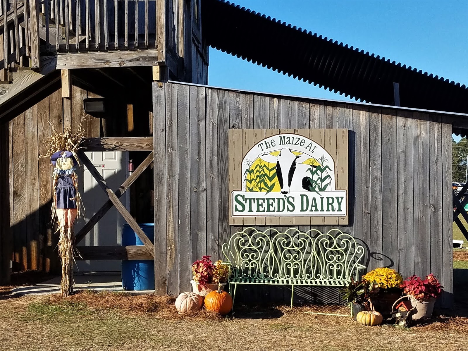Another Mile Another Destination Blog: Steed’s Dairy Farm and The Corn ...