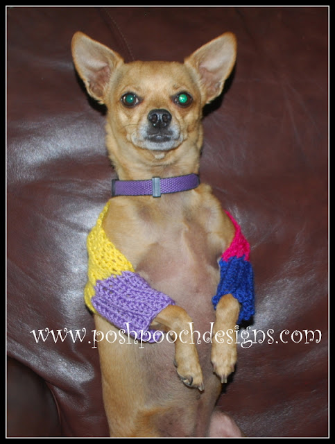 Posh Pooch Designs : Color Block Dog Shrug Knitting Pattern | Posh ...