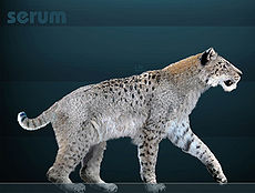 Fauna Prehistorica: HOMOTHERIUM