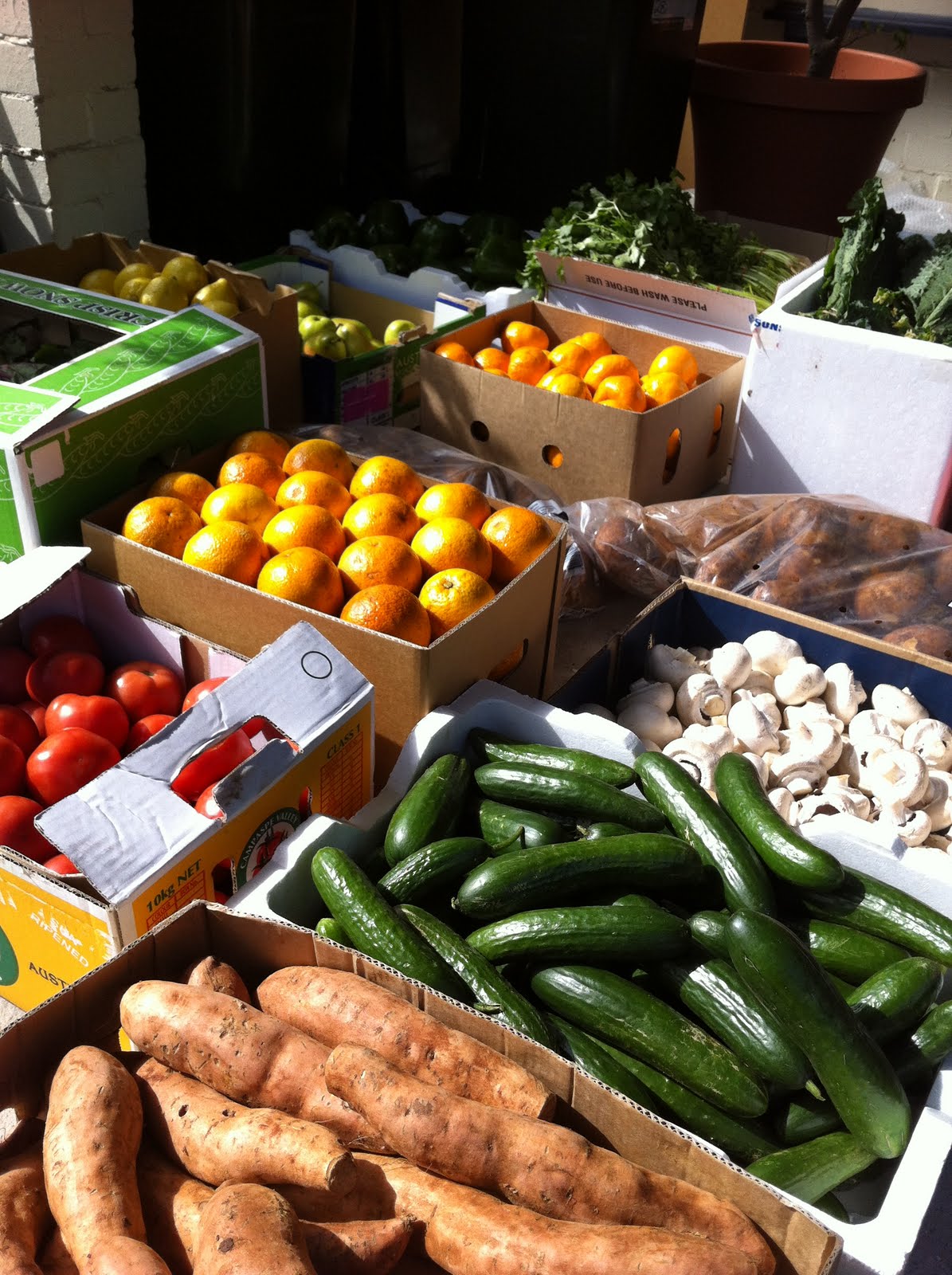 Lilyfield Life: Cheap Fresh Seasonal Fruit and Vegetables. Join a Vegie ...