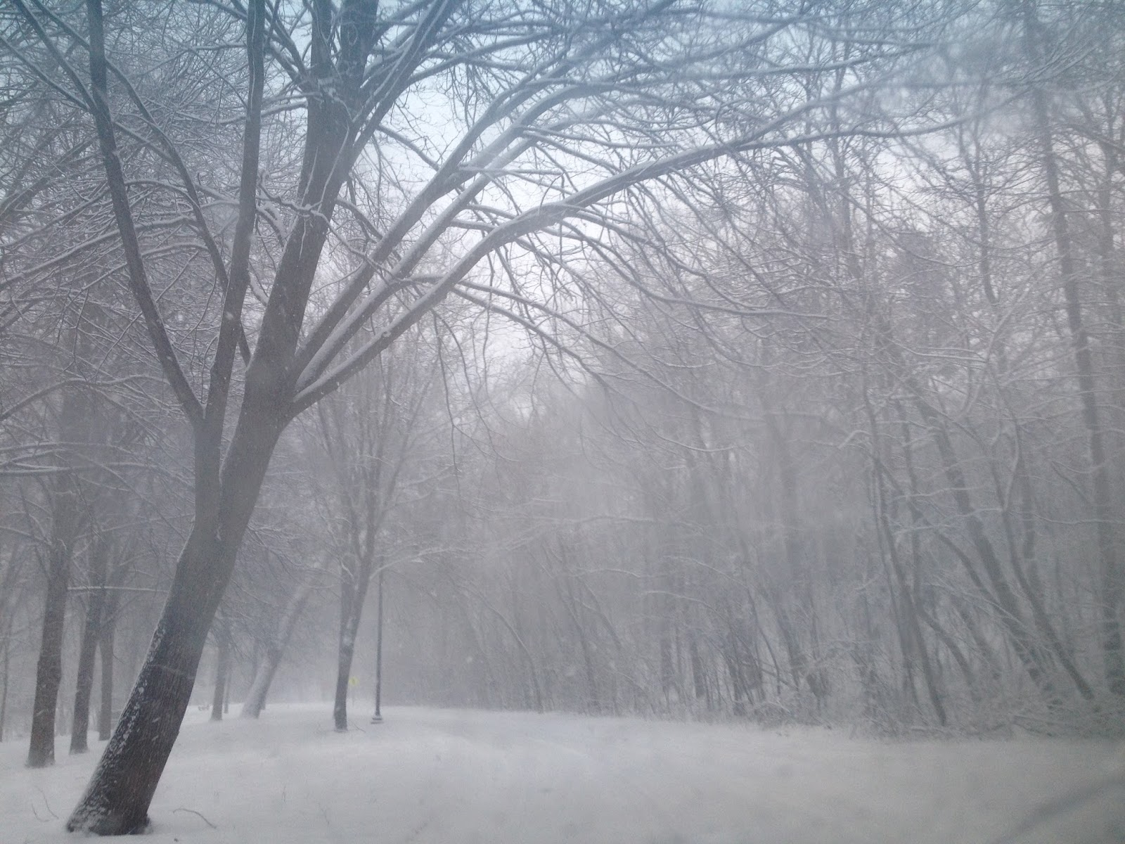 St Louis Park Snow Totals | semashow.com