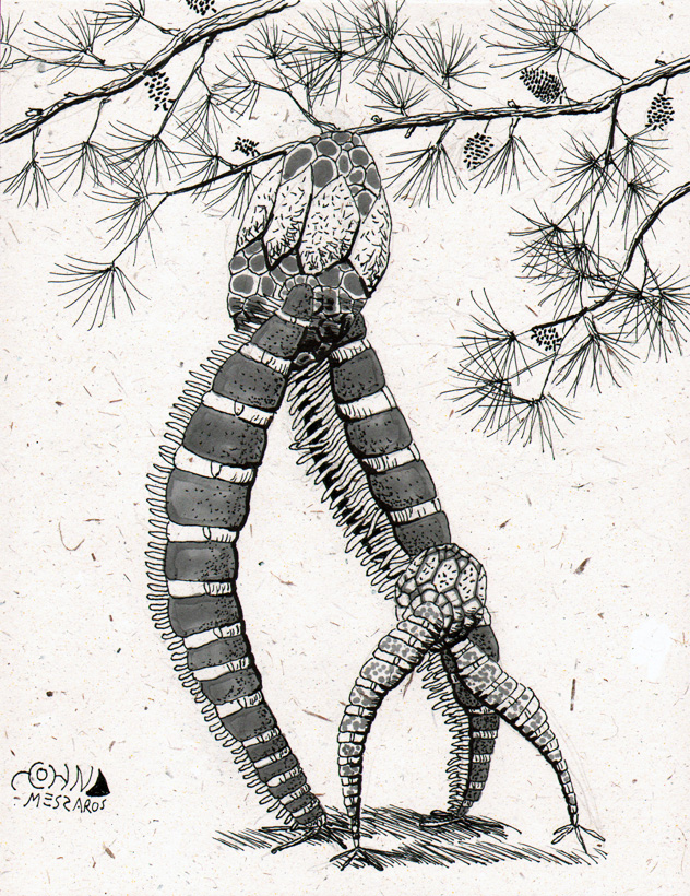 Cryptids State-by-State: Fresno Nightcrawler Variant 1: Echinoderm