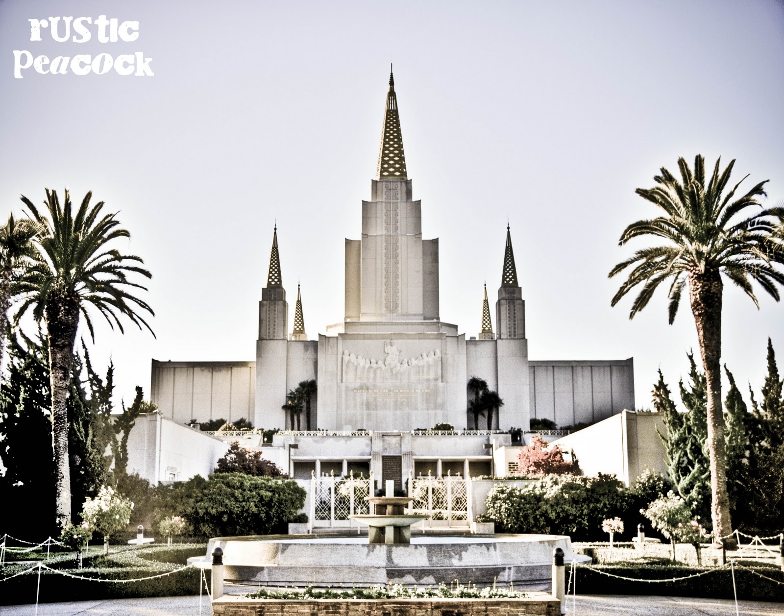 Rustic Peacock: Oakland Temple