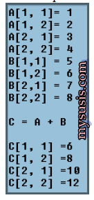 Contoh Progam Input Output Array 2 Dimensi C/C++ (Struktur Data) - Sugeng S