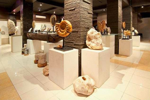 TOP ASEAN MUSEUM: Bali Shell Museum