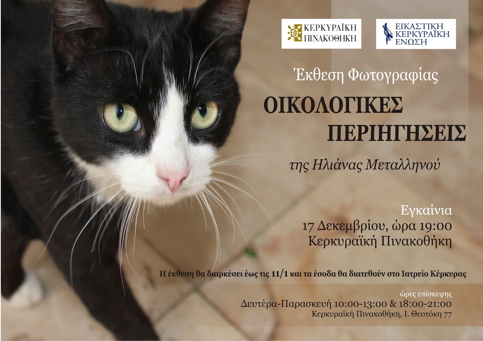 ΤΟ ΑΣΠΡΟ ΣΑΛΙΓΚΑΡΙ